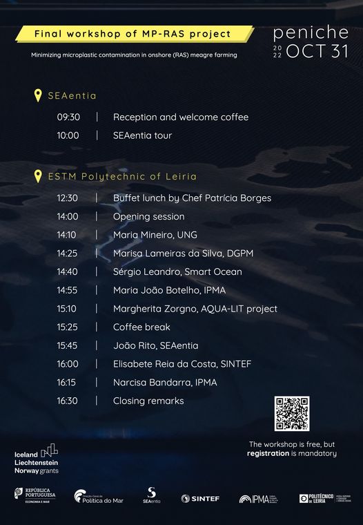 MP-RAS Final Workshop